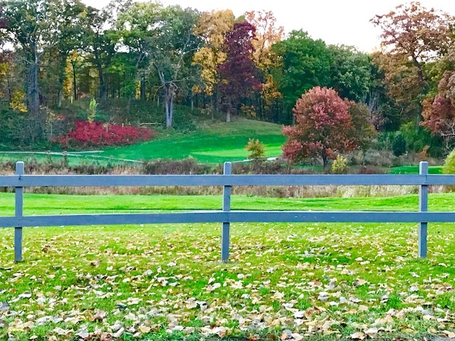 New Year, New Team Member! - Moraware