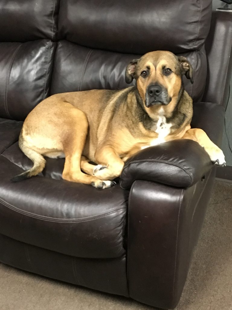 Fabricator Profile: Granite Perfection - Moraware